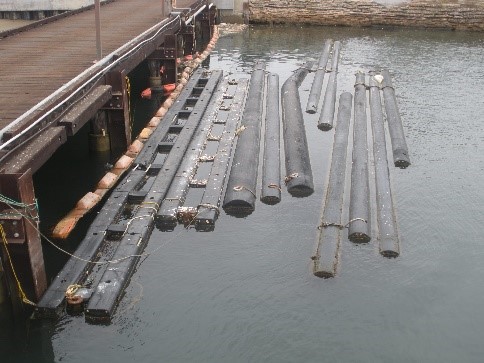 Nautical Creatures - Pacific Maritime Group, Inc